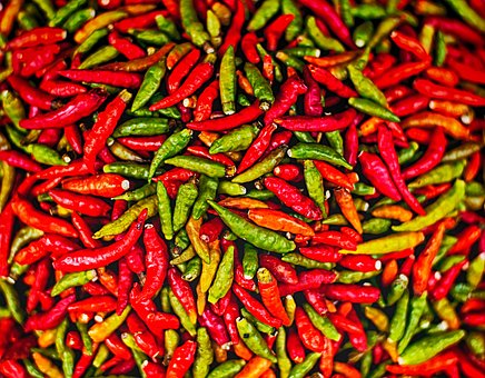 Chilli Farming Business Plan - Cultivation Process Guide for Beginners